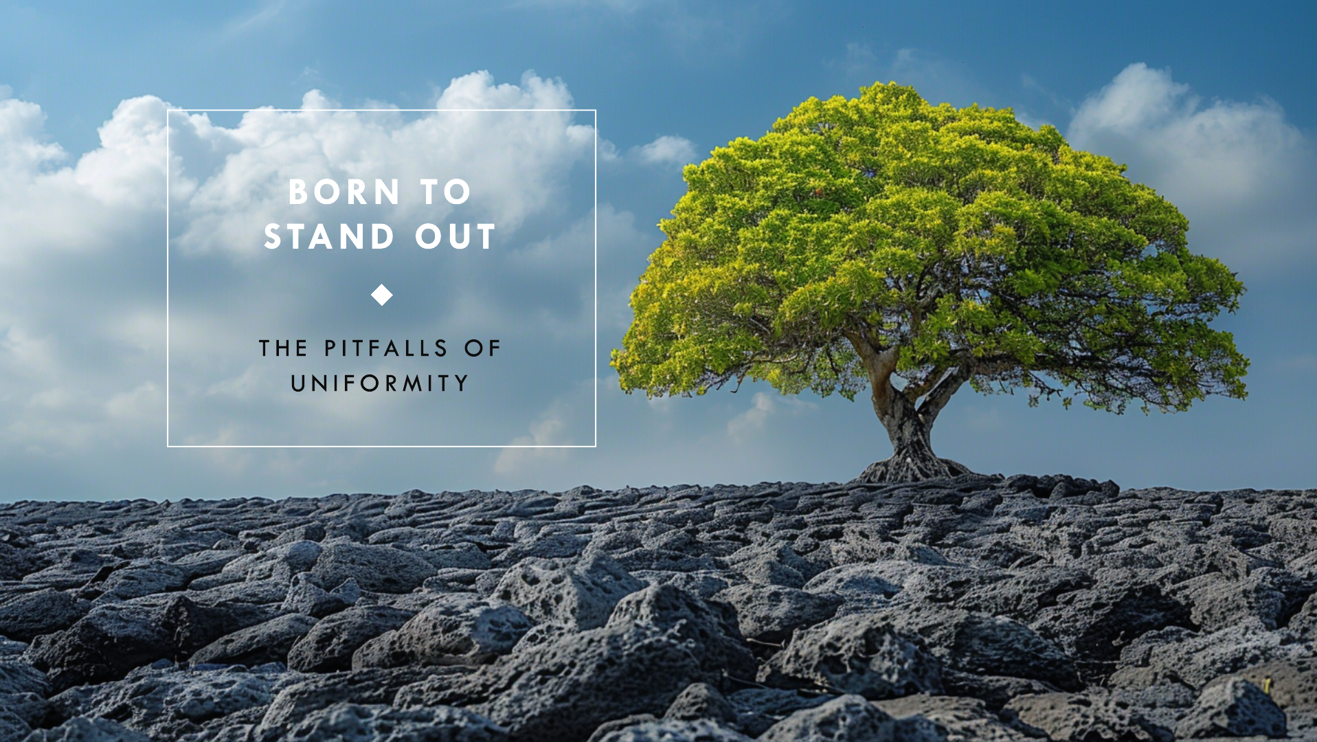 Born to Stand Out: The Pitfalls of Uniformity | Layer 10